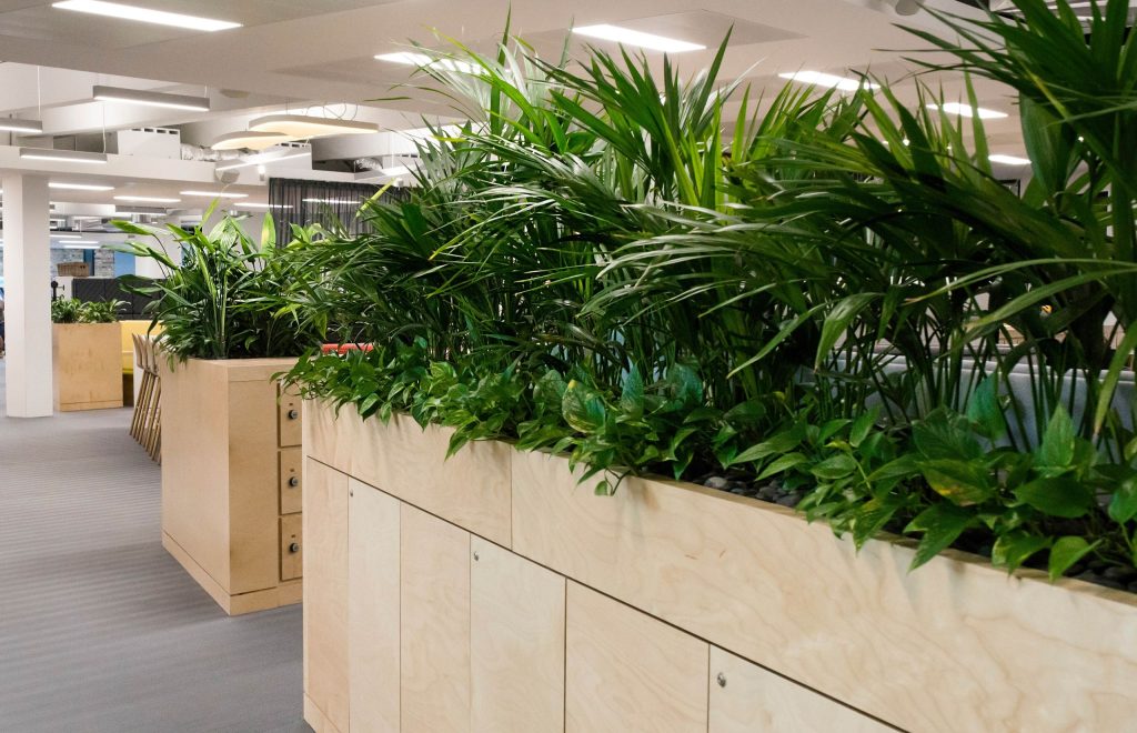 Gardeningrat Layanan Sewa Tanaman Hias Kantor Indoor dan Outdoor, Plant ...